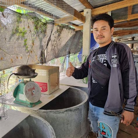 2คอกแรกของปี น้องปีหนึ่งฟาร์มหนูพุกใหญ่สกลนคร อพรรณานิคม Facebook