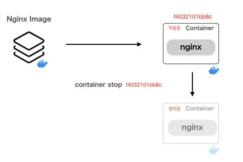 Docker 강좌 2편 실무에서 쓰이는 Docker 컨테이너 완벽 가이드