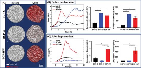 A 3d Visualizations Red New Bone White Materials Rendered By Download Scientific Diagram