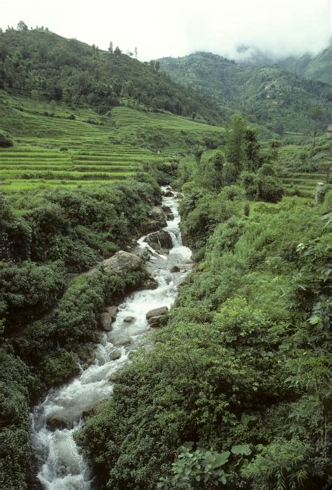 Fao Publication On Remote Sensing For Water Productivity Un Water