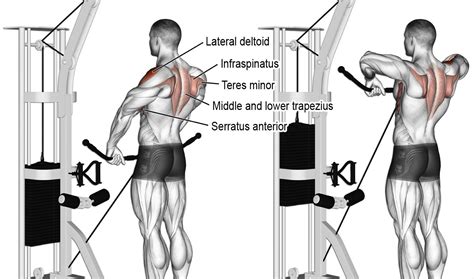 Cable Upright Row Form At Mark Jennings Blog