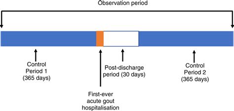 Design Of Self‐controlled Case Series Depicting The Control Period And Download Scientific