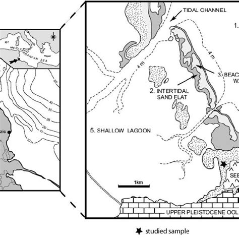 Geological Setting Of The Hassi Jerbi Outcrop Southern Tunisia