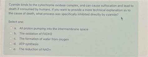 Solved Cyanide Binds To The Cytochrome Oxidase Complex And