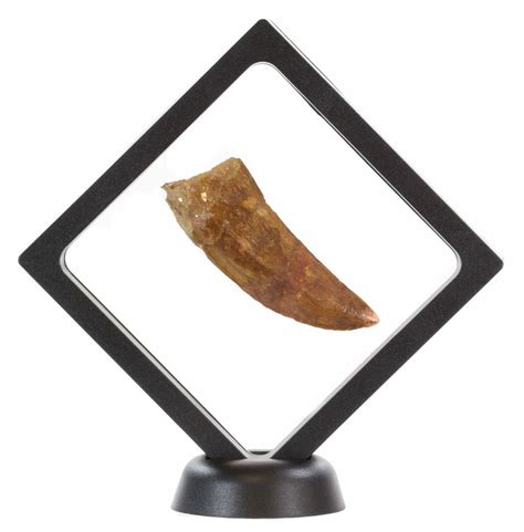 44 Large Floating Frame Display Cases With Stands Black For Sale