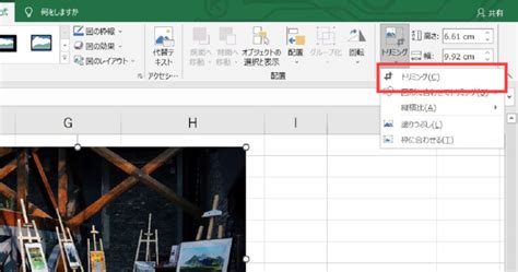 Excel エクセル 図や画像をトリミングする方法