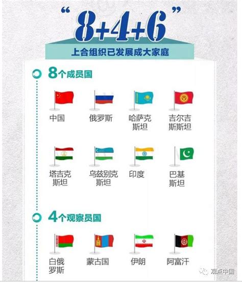 新时代中国特色大国外交成绩单，亮眼！上合组织上合中国特色新浪新闻