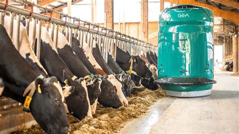 Modern Dairy Farms The Next Generation For Milking And Feeding