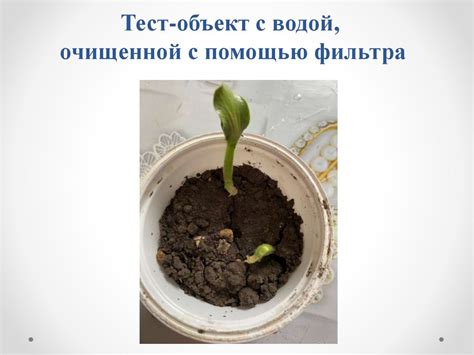 Польза чистой воды презентация онлайн