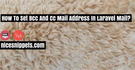 how to set bcc and cc mail address in laravel mail hashnode