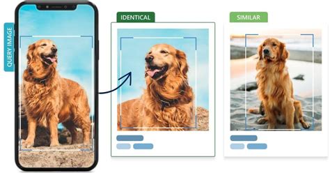 How To Build A Good Visual Search Engine Ximilar Visual AI For Business