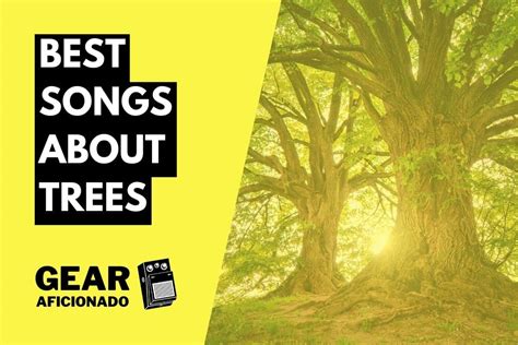 23 Best Songs About Trees