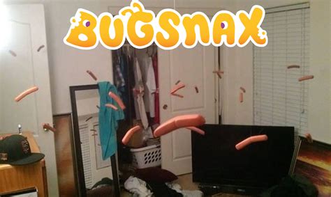 Bugsnax Irl R Bugsnax