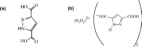 Molecular Structure Of A 3 5 Pyrazoledicarboxylic Acid And B Download Scientific Diagram