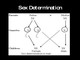 Non Mendelian Genetics Roel Ppt
