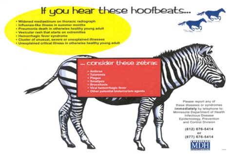 Bioterrorism Flashcards Quizlet