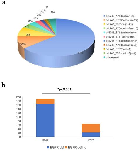 Patients With Advanced Non Small Cell Lung Cancer And Egfr Exon 19 Del