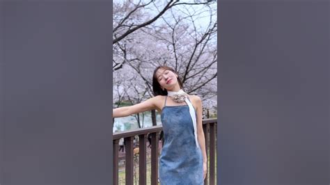 석촌호수 벚꽃파티🌸🌸🌸 Youtube