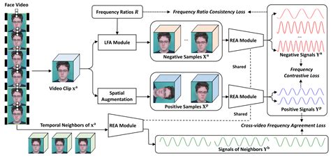 Video Based Rppg Ssl Csys Blog