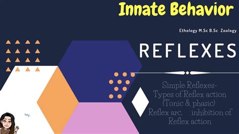 Reflexes Simple Reflexes Types Of Reflex Action Reflex Arc