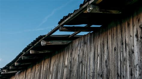 Lattung Bilder Durchsuchen 1418 Archivfotos Vektorgrafiken Und