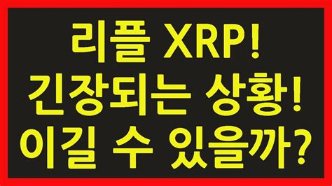 리플 코인 전망 Xrp 가격 시세 소송 속보 Sec 약식 판결 재판 긴장되는 상황 이길 수 있을까 Youtube