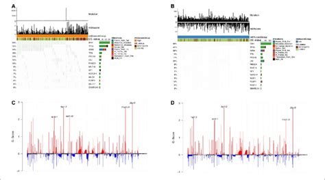 Analysis Of Molecular Characteristics Of M6ascore High And Low