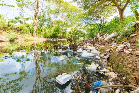 La Grave Problemática De Los Ríos Contaminados Y Su Impacto En El Medio