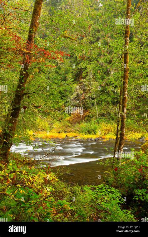 Molalla River Molalla River Corridor Recreation Area Salem District
