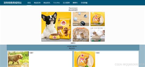 Springbootvue实现前后端分离的宠物销售商城网站 Csdn博客