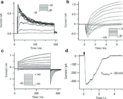 Representative Current Recordings Form Dissociated Olfactory Sensory