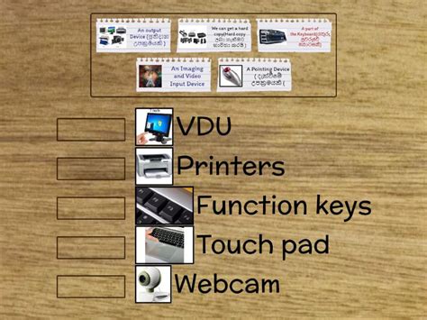 Input And Output Devices Match Up Input And Output Devices Match Up