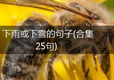 下雨或下雪的句子 合集25句