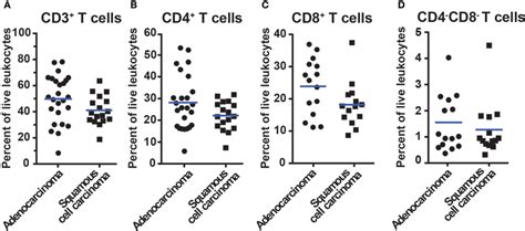 Percentage Of T Cells In Nsclc Tumors Of Different Histological Download Scientific Diagram