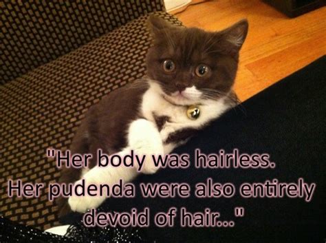 7 Horrific Sentences From This Years Bad Sex In Fiction Nominees