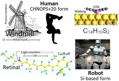 Animate Things Walking 3 Element Molecules And Carbon C Based Vs