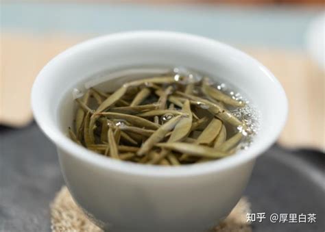 最珍贵的白茶是什么茶有年份的白毫银针吗 知乎