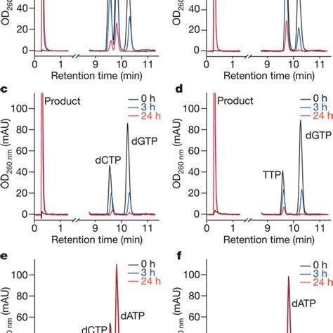 Samhd1 Is Allosterically Activated To Cleave Datp Dctp And Ttp By Download Scientific Diagram