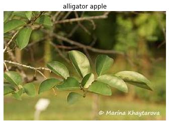 GitHub Hrushi Fruits Multi Class Classification This Repo Deals With Building A CNN