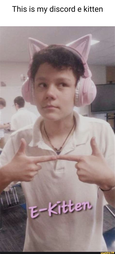 This Is My Discord E Kitten Ifunny Brazil