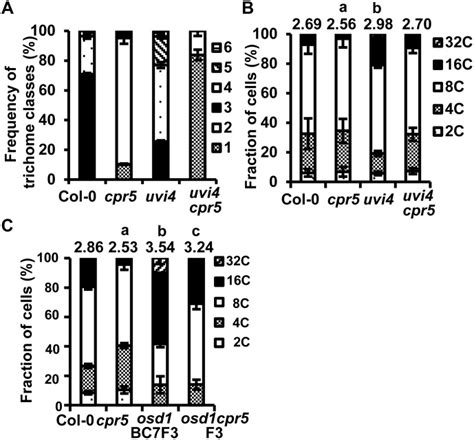 a frequency of cells with different branching numbers in col 0 cpr5