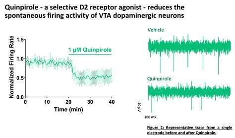Investigating Dopaminergic Activity In The Ventral Tegmental Area With