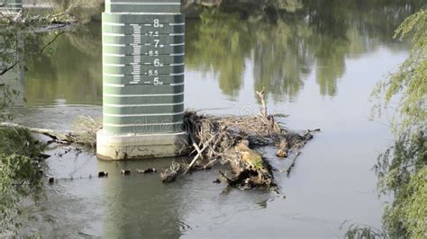 Debris Wooden Logs Stuck On The Bridge Support Fence Stock Video Video Of Bridge Sticks