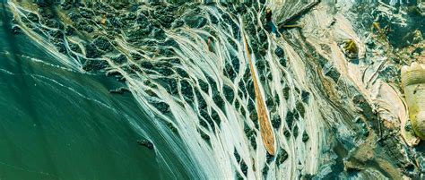 The Harmful Link Between Microplastics And Algae Blooms