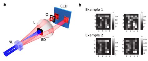 Sub Shot Noise Quantum Imaging A Quantum Correlated Beams Are Download Scientific Diagram