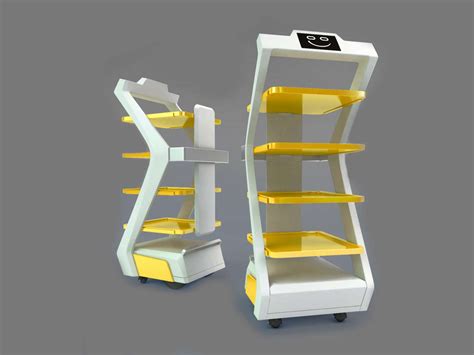 Matices De La Clasificación De Los Robots De Servicio Leotronics Robotics