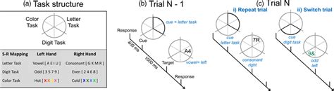 Cued Trials Task‐switching Paradigm A Structure Of The Task