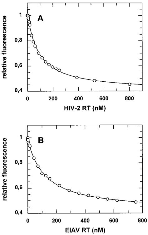 Binding Of The Pseudoknot Rna To Hiv 2 And Eiav Rt 5 Hex Labeled