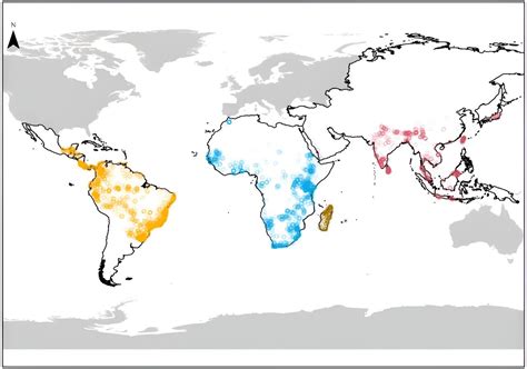 Study Of Global Primate Populations Reveals Predictors Of Extinction