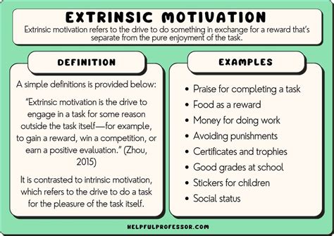 18 Extrinsic Motivation Examples 2025